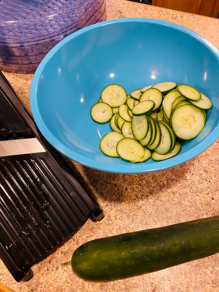 Dehydrated Cucumber Chips – The Petite Homestead