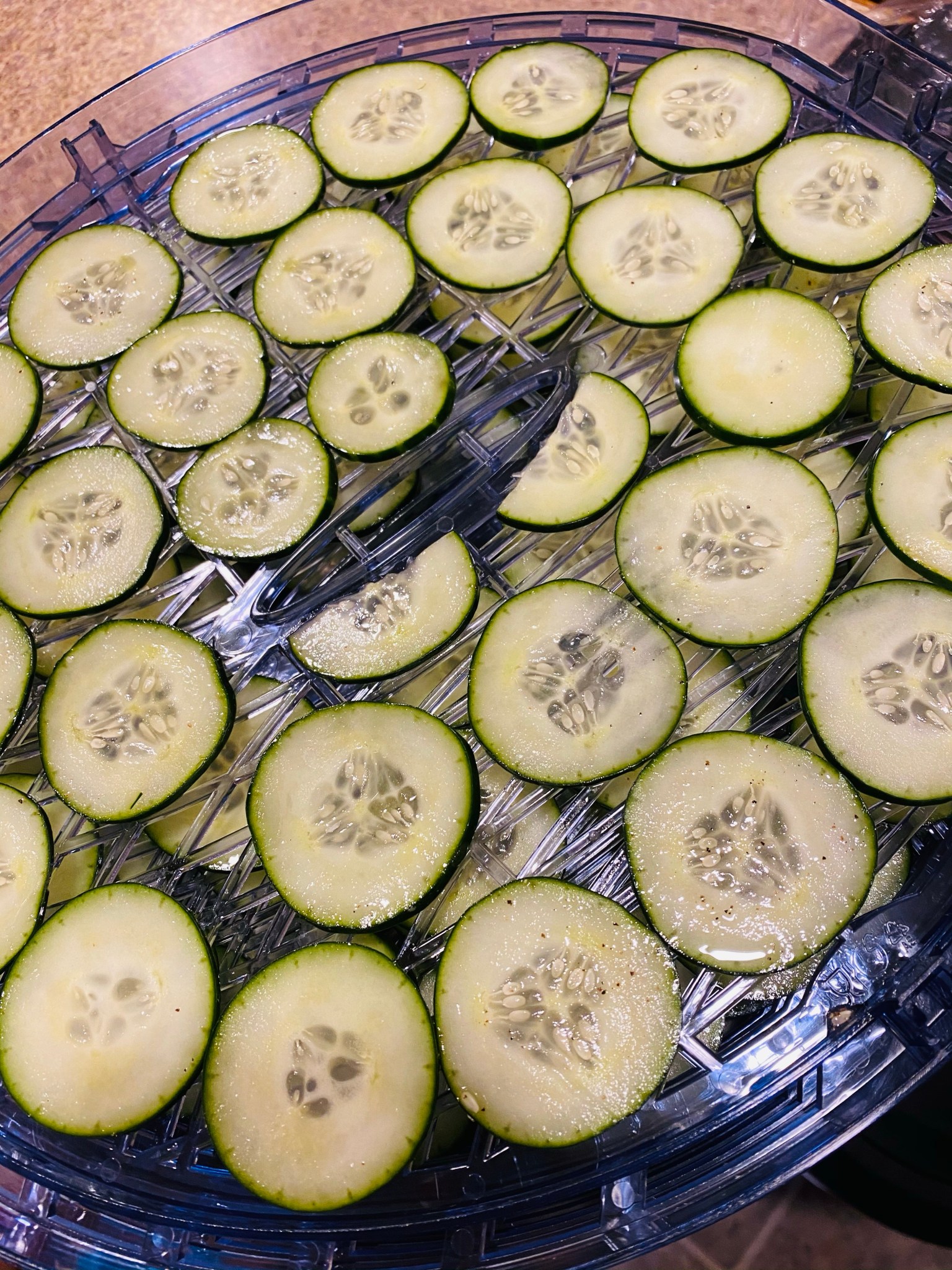 Dehydrated Cucumber Chips – The Petite Homestead