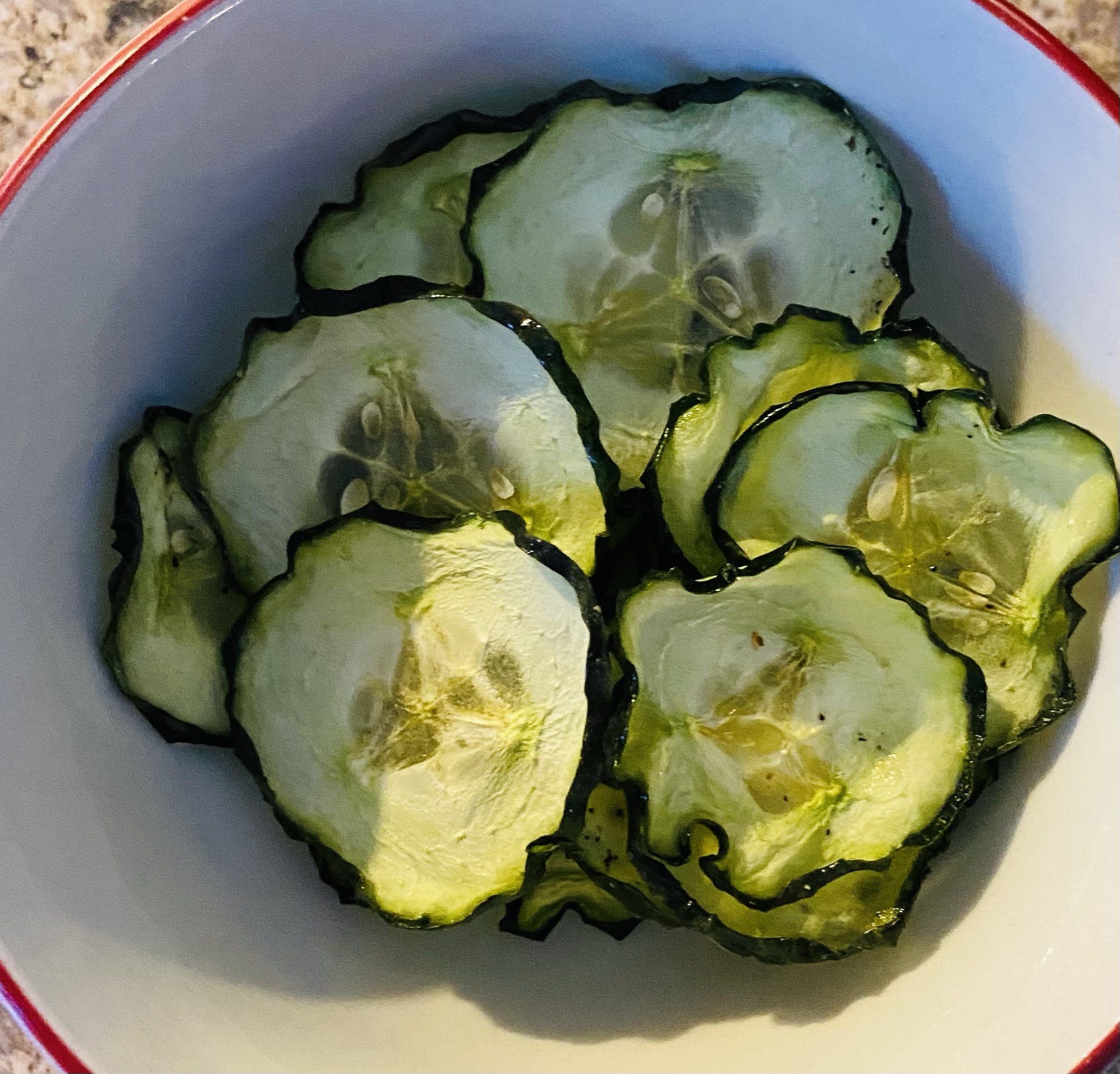 Dehydrated Cucumber Chips – The Petite Homestead