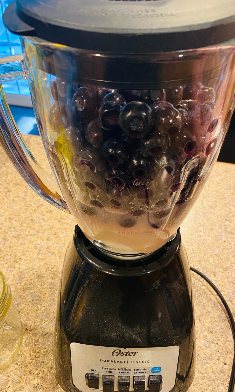 Frozen Blueberry Lemonade – The Petite Homestead
