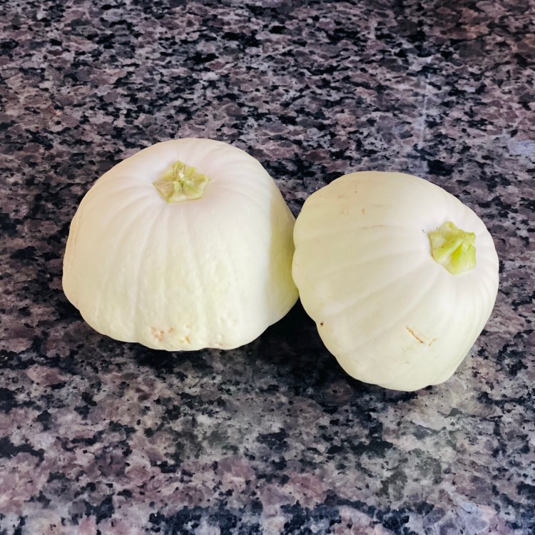 Scallop Squash Pie – The Petite Homestead